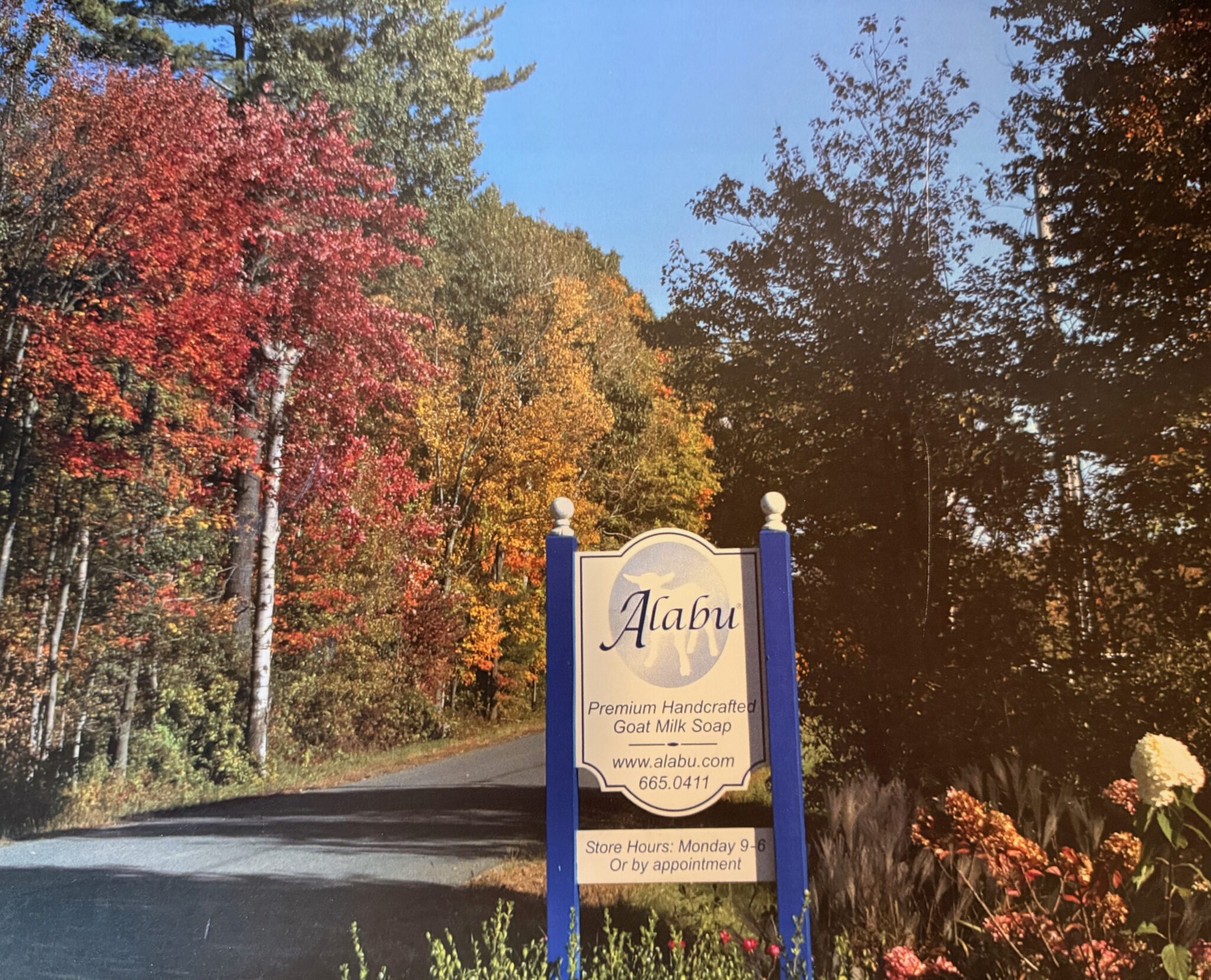 Musings From The Farm